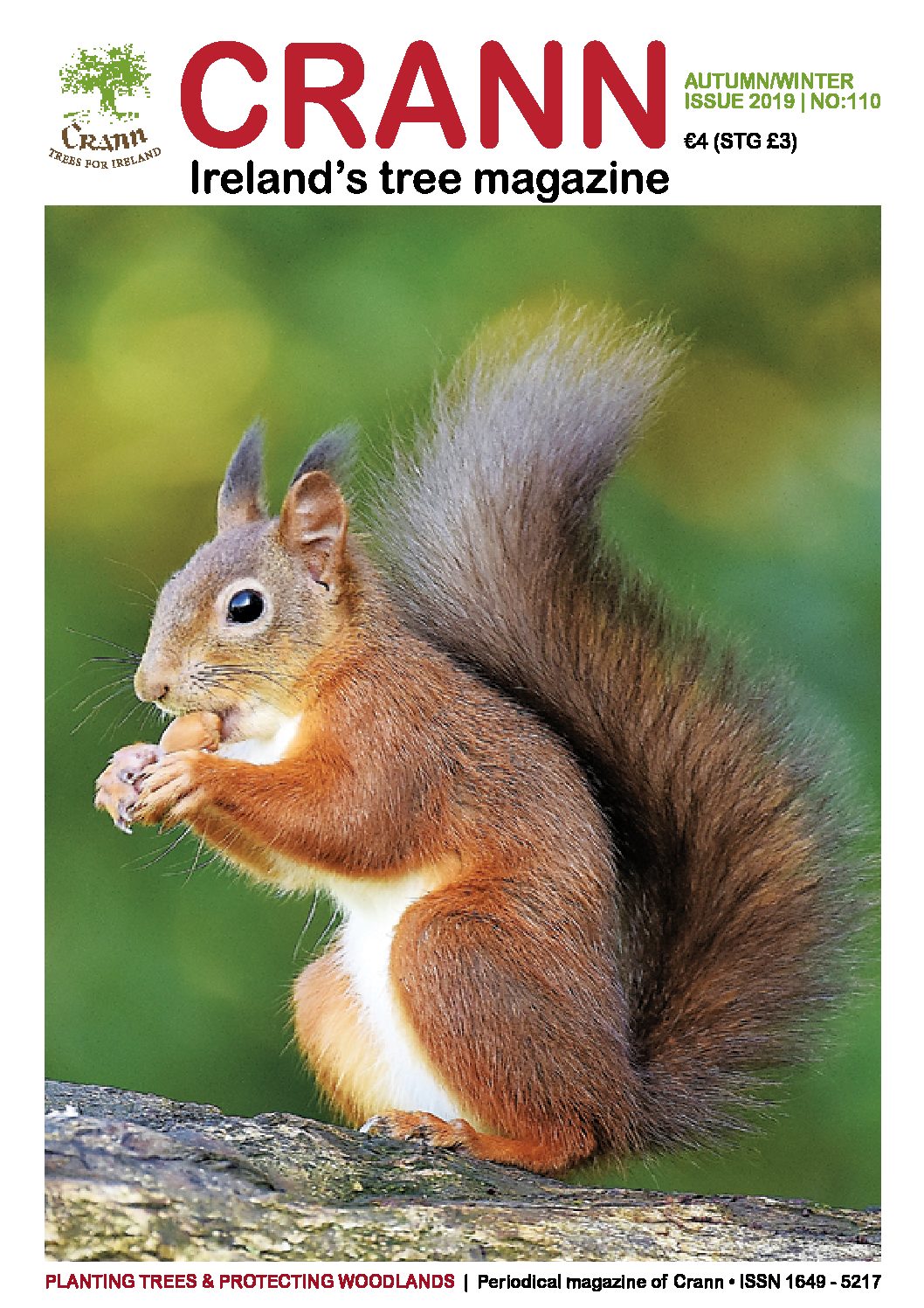 Home page | Crann - Trees for Ireland